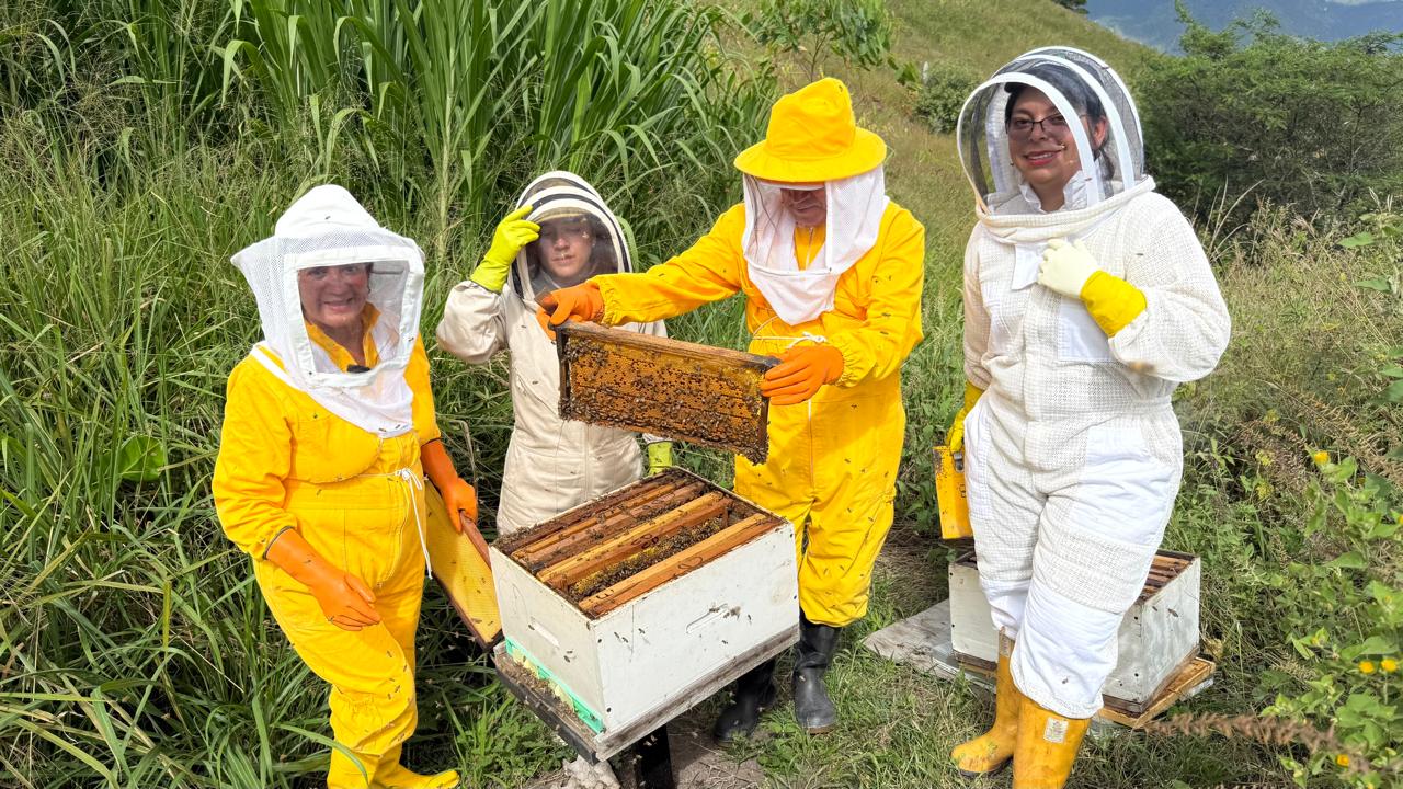 En Azuay se recuerda y destacan el Día Mundial de las Abejas